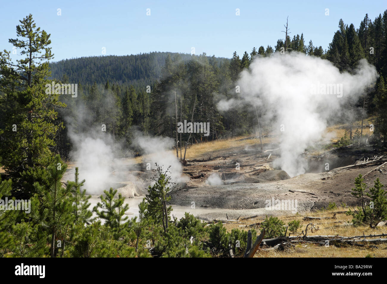Mud Volcano volcanic geyser activity in the fall in Yellowstone Ntional ...
