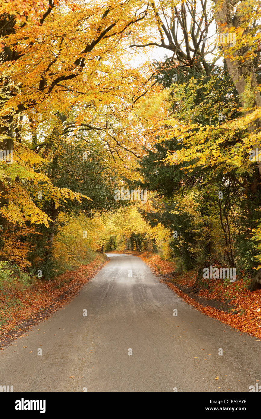 Country Road In Autumn Stock Photo - Alamy