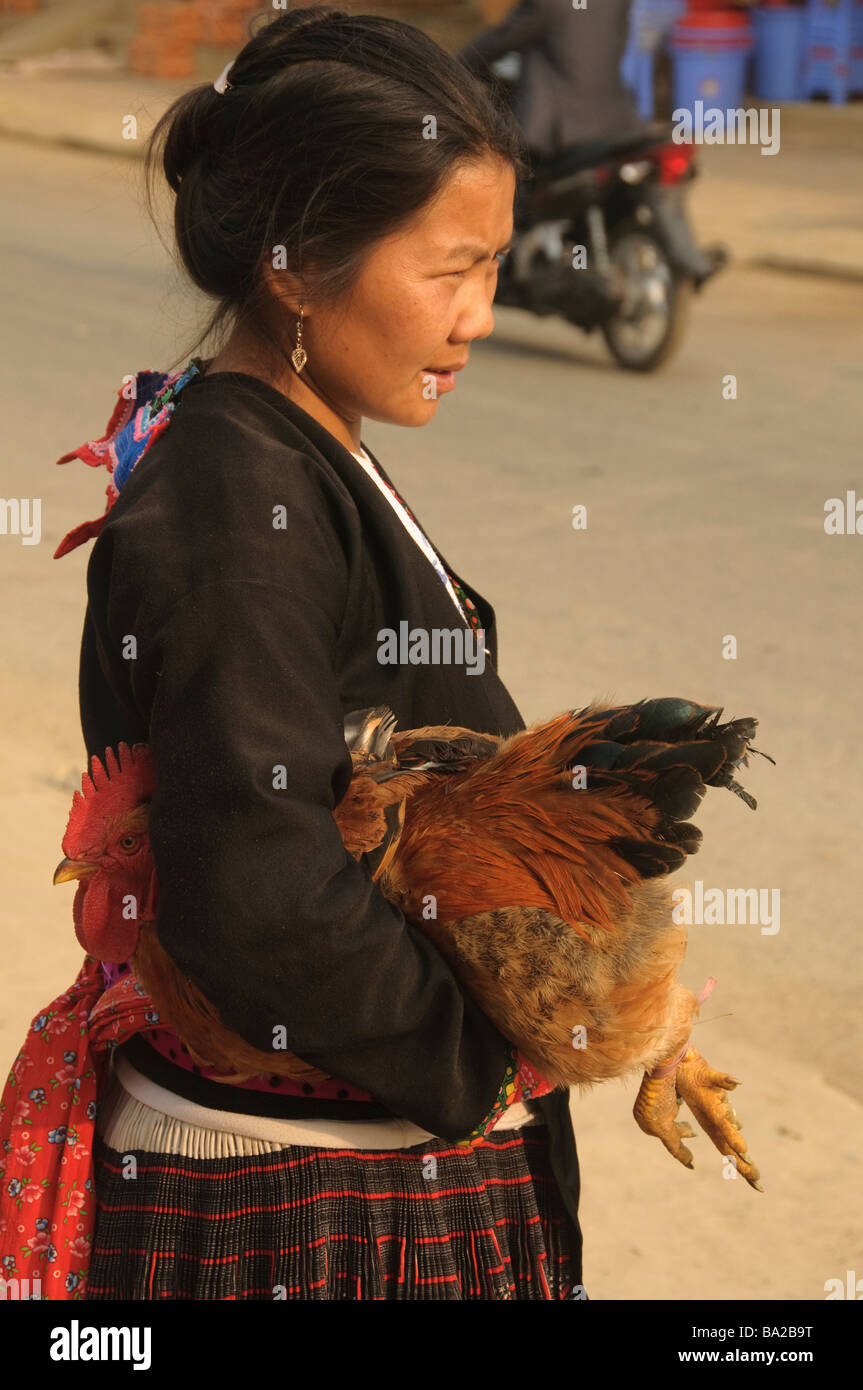 Vietnam market chicken hi-res stock photography and images - Alamy