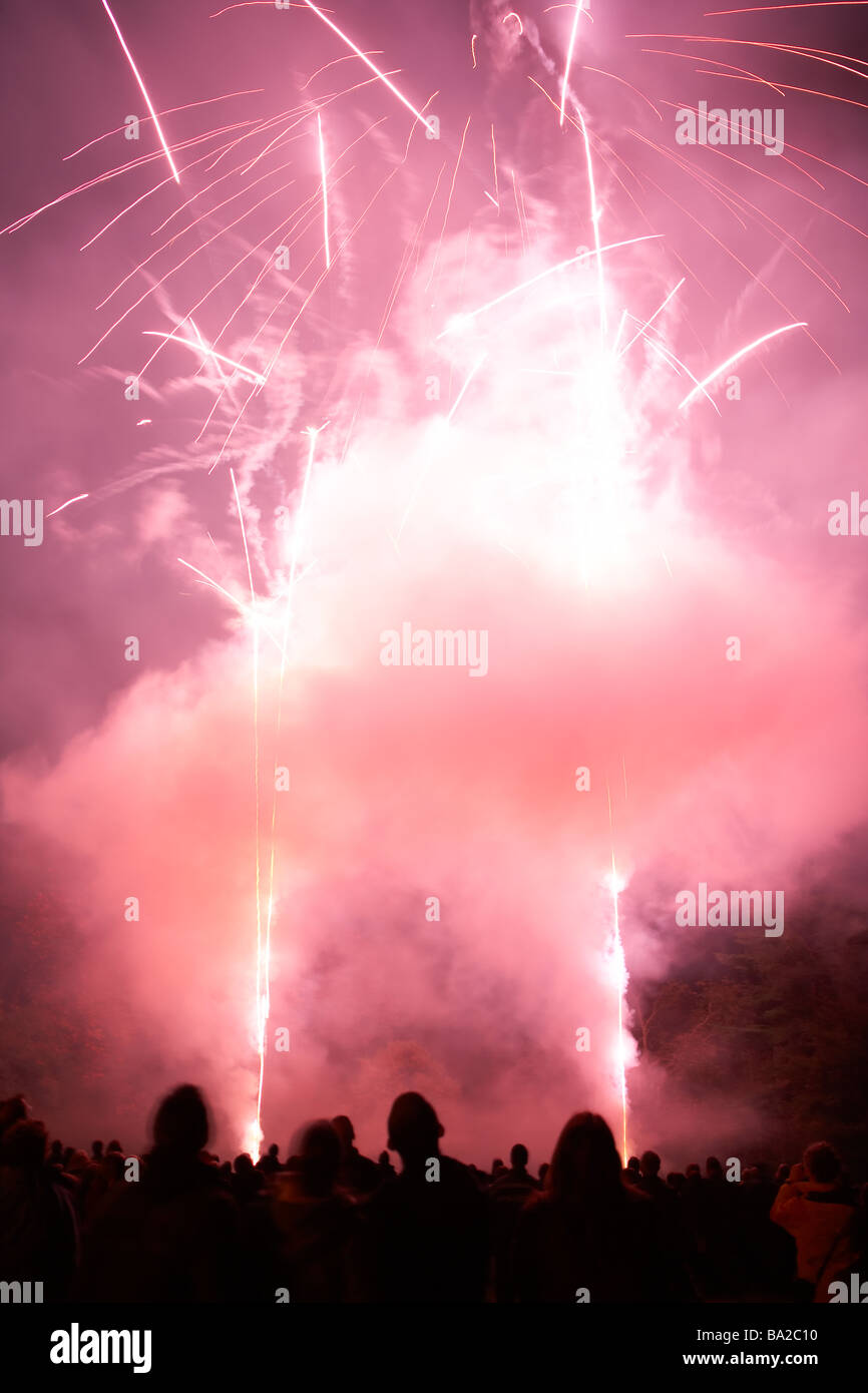 Crowd and fireworks hi-res stock photography and images - Alamy