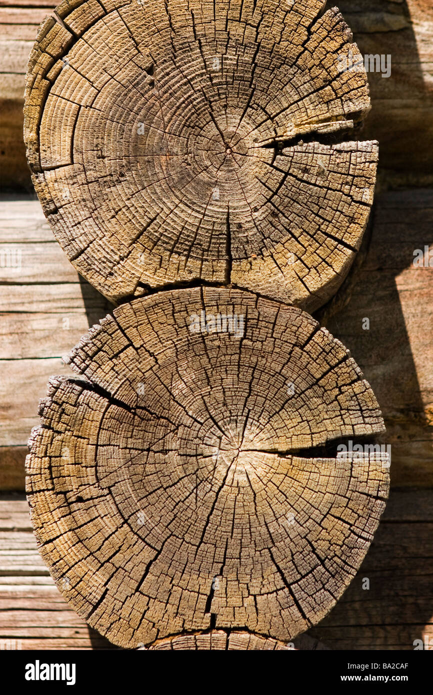 Wood house logs cut pattern Stock Photo - Alamy