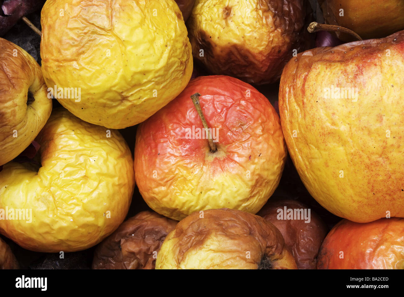 Apples wrinkled fruit spoiled fruits hi-res stock photography and ...