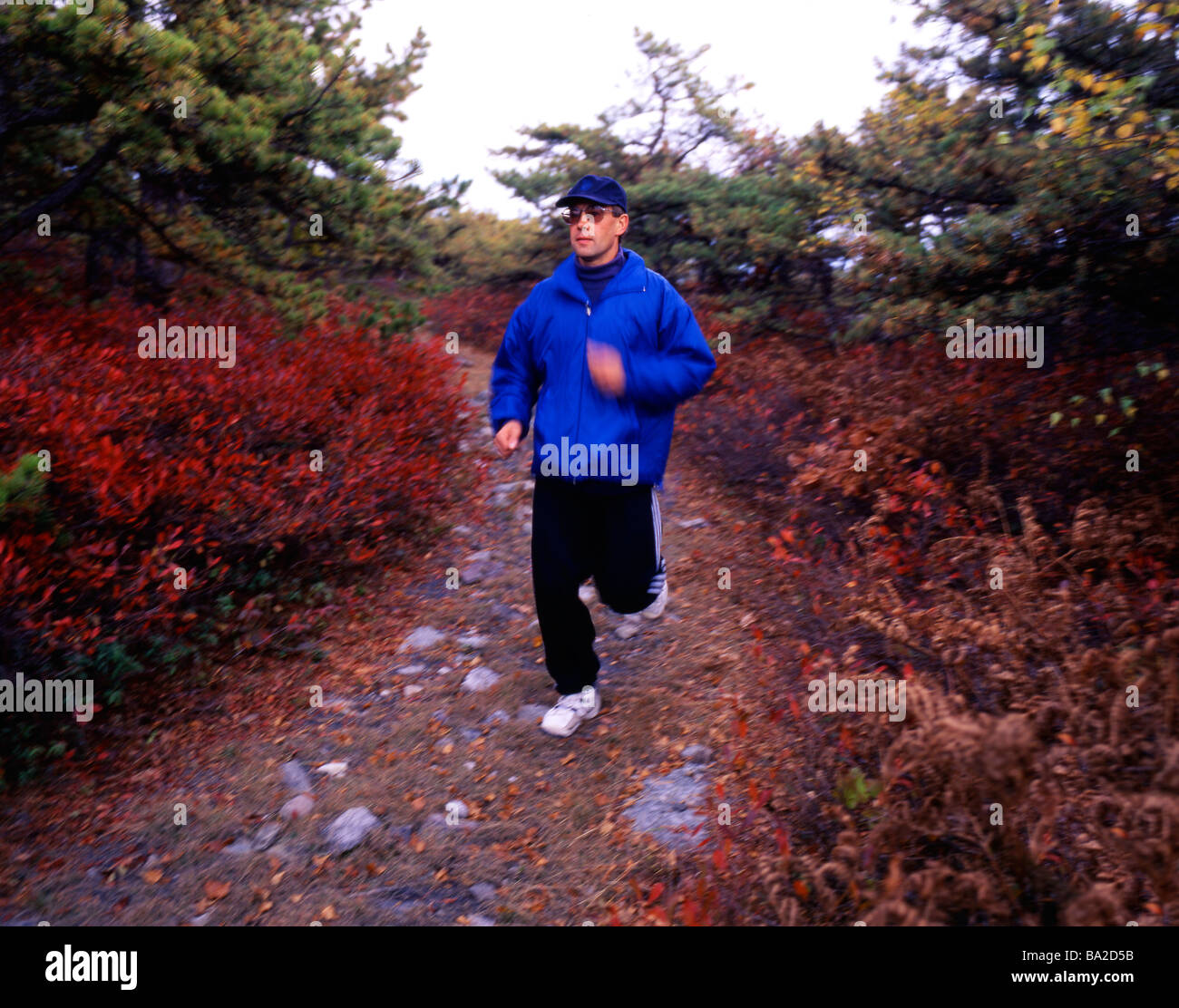 Young male runner dressed hi-res stock photography and images - Alamy