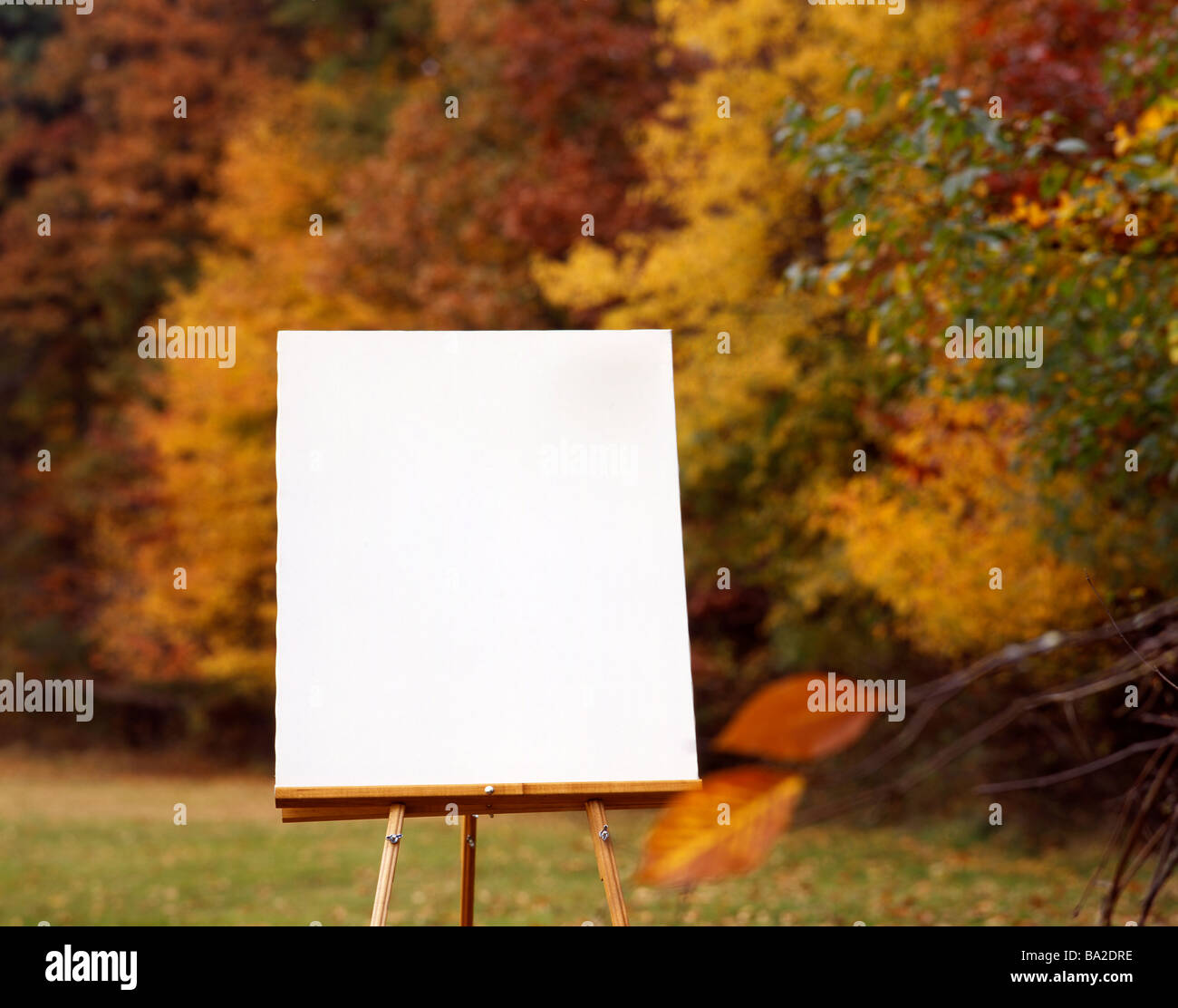 Plain canvas hi-res stock photography and images - Alamy