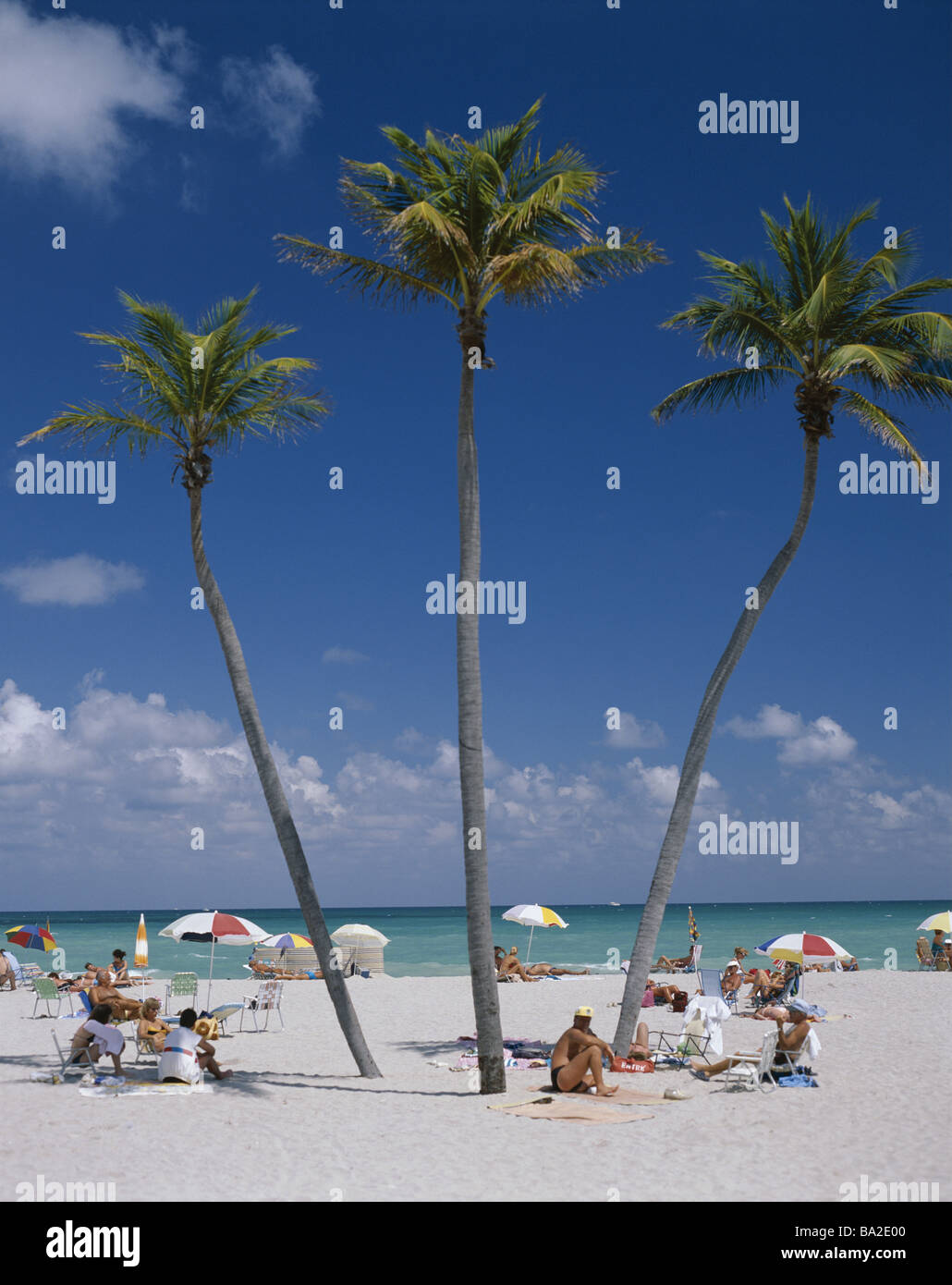 Miami beach palm trees sandy hi-res stock photography and images - Alamy