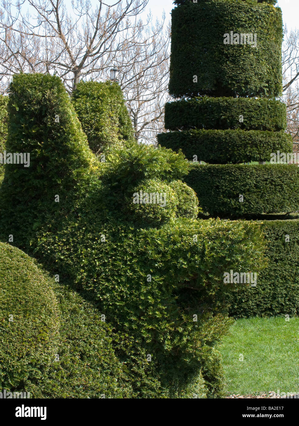 Dog topiary hi-res stock photography and images - Alamy