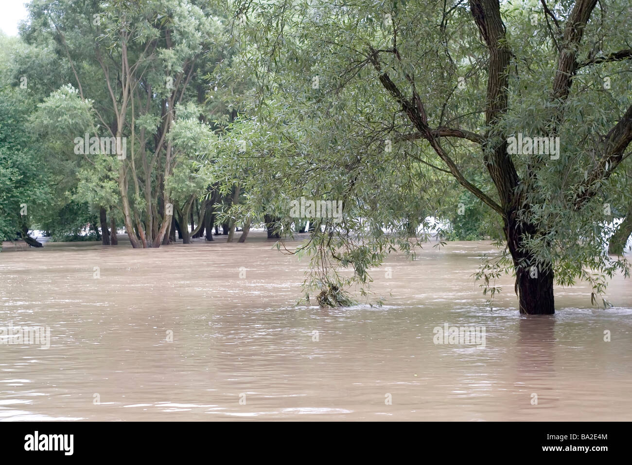 Poland natural disaster hi-res stock photography and images - Alamy