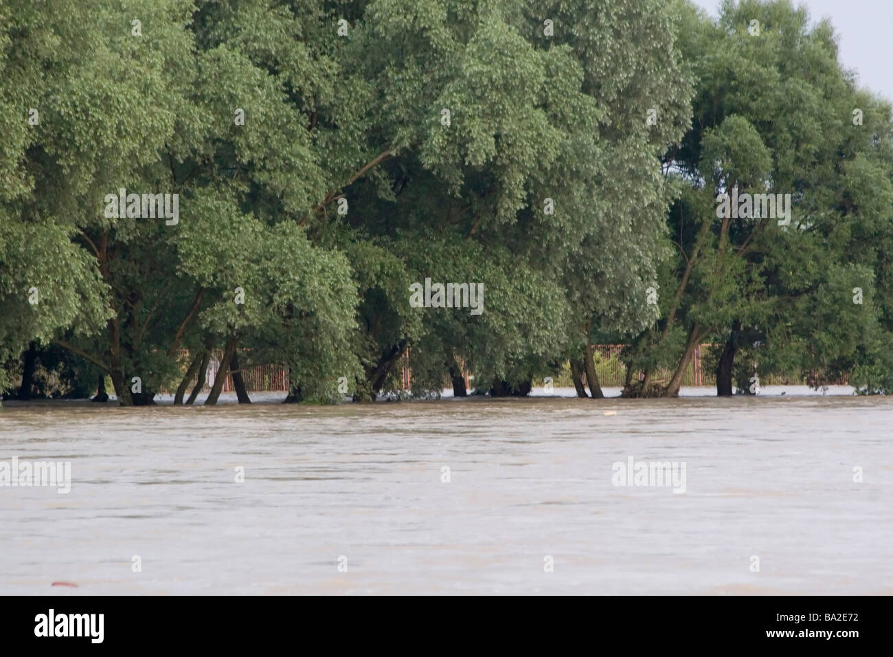 Poland natural disaster hi-res stock photography and images - Alamy
