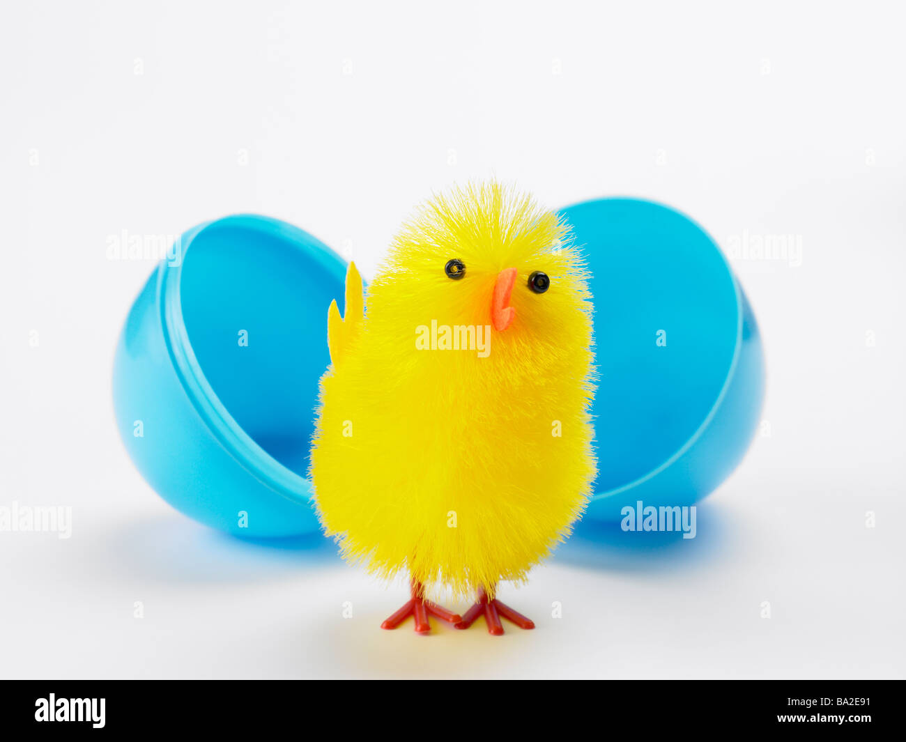 Easter Chick Hatching Out Of Egg Stock Photo - Alamy