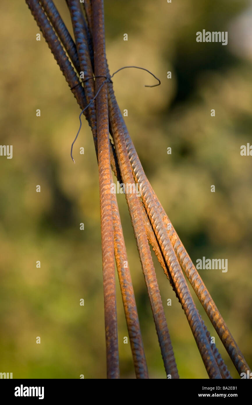 Rods in focus hi-res stock photography and images - Alamy