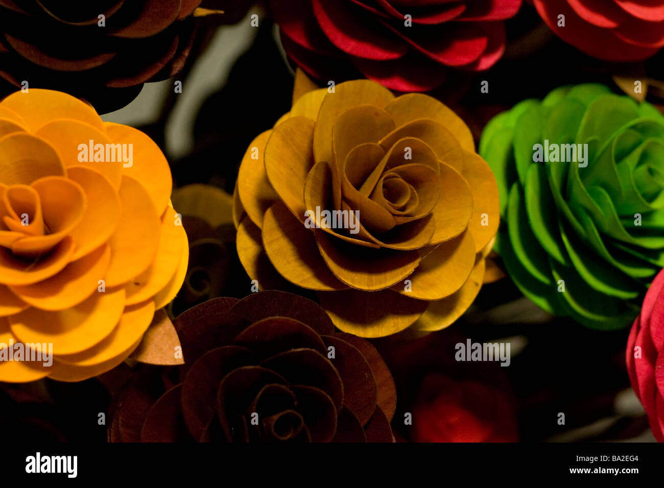 Multi coloured rose hi-res stock photography and images - Alamy
