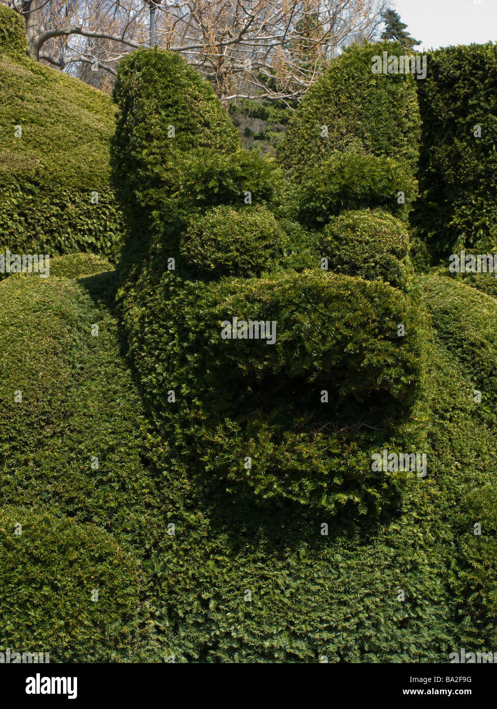 Dog topiary hi-res stock photography and images - Alamy
