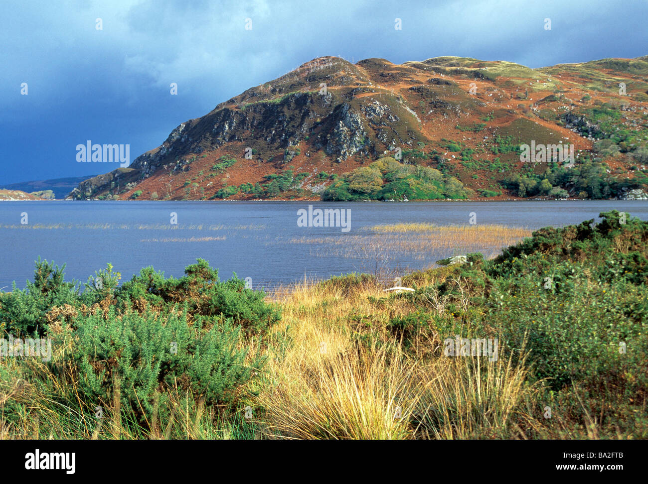 caragh lake,ring of kerry, co county kerry, beauty in nature Stock ...