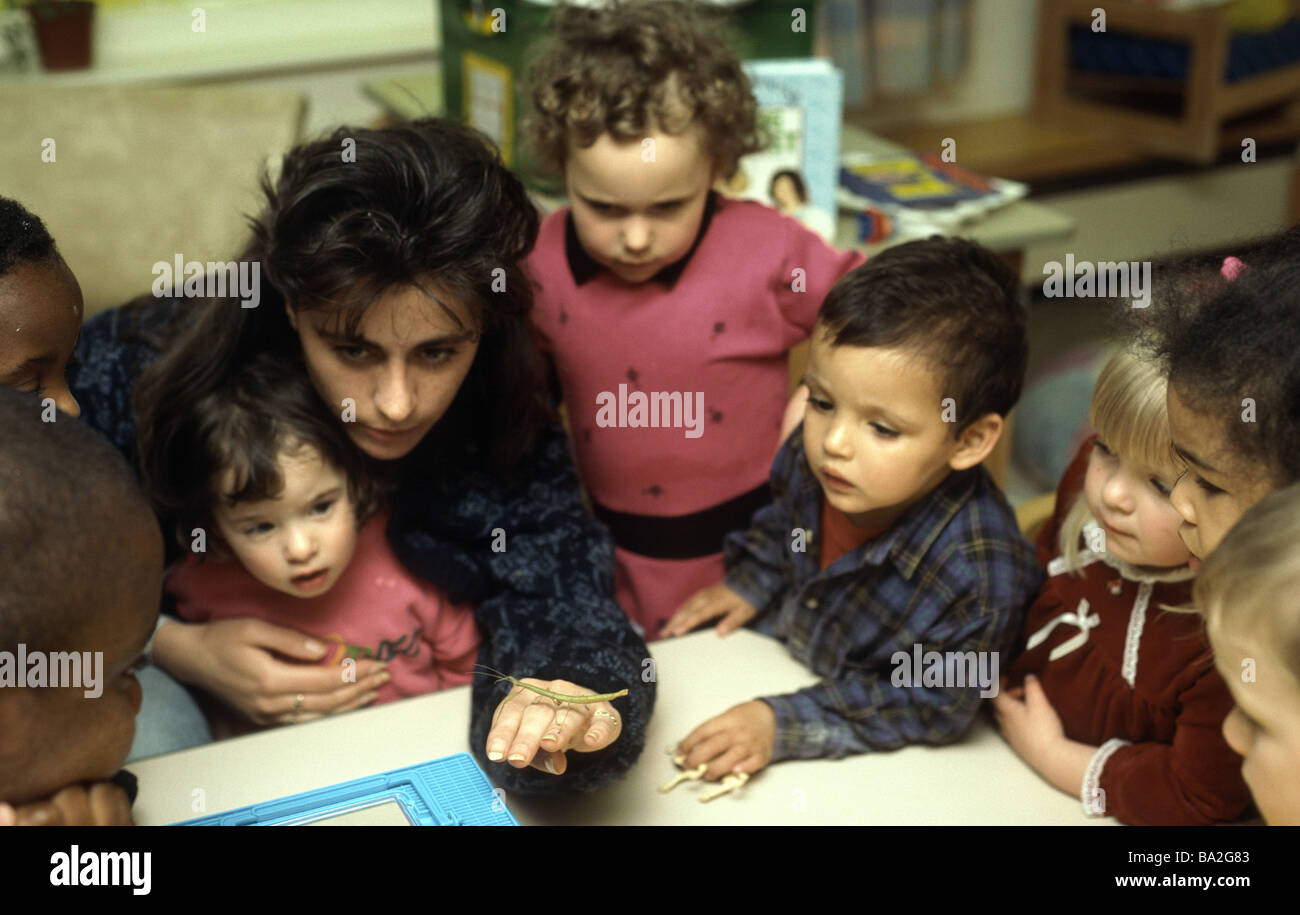 Nursery school teacher holding a stick insect with children observing ...