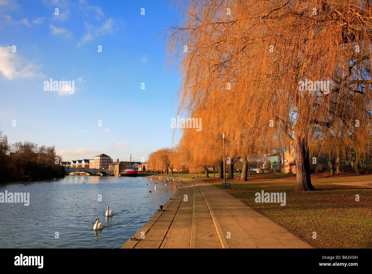 River Nene Embankment Peterborough City Cambridgeshire County England ...