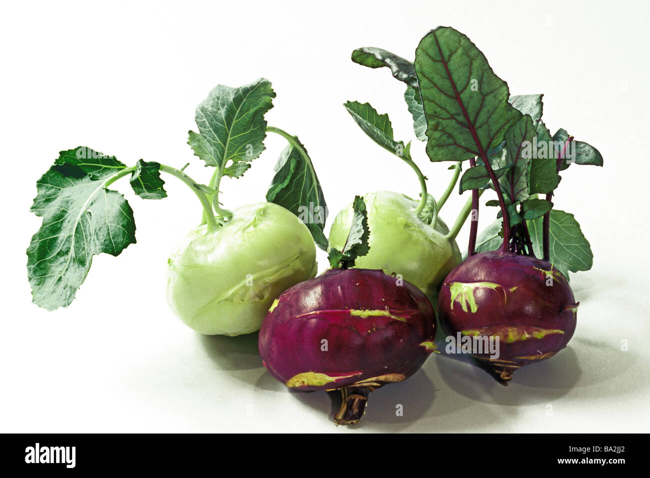 Kohlrabi, German Turnip (Brassica oleracea convar. acephala var ...