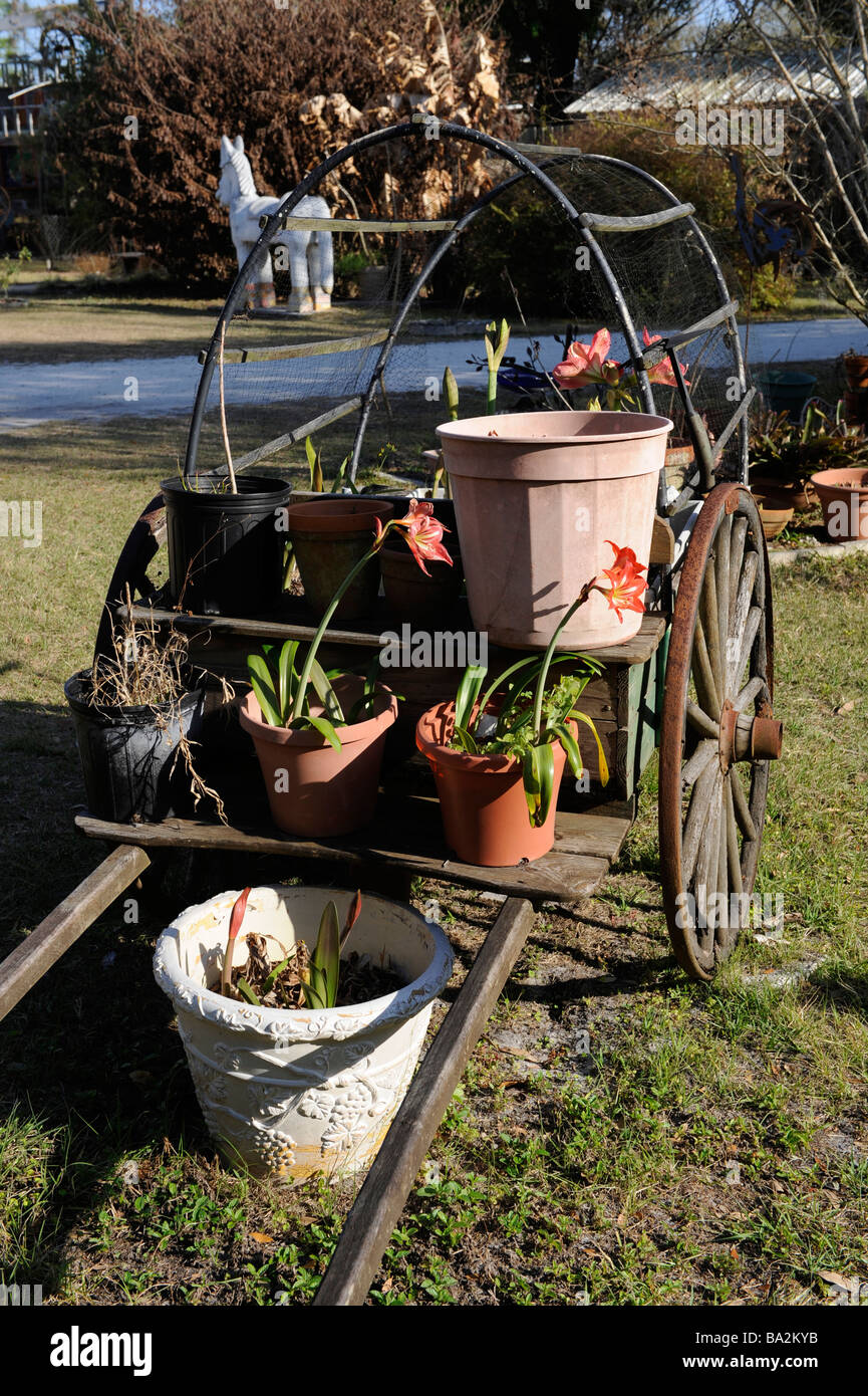 Solomons Castle Ona Florida home of famous scuptor Howard Solomon and ...