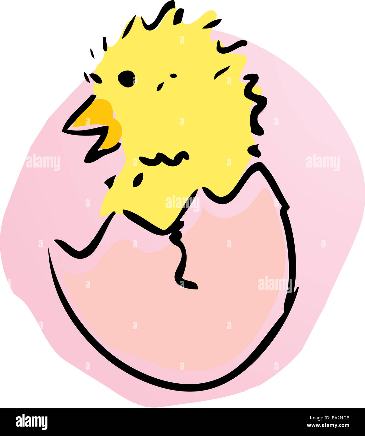 Chick emerging from shell hi-res stock photography and images - Alamy