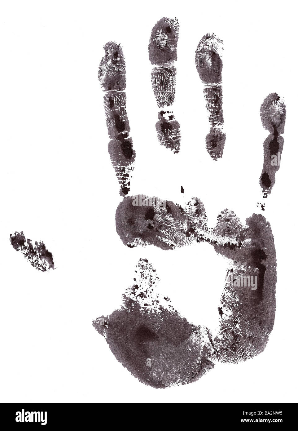 Hand print identification Cut Out Stock Images & Pictures - Alamy