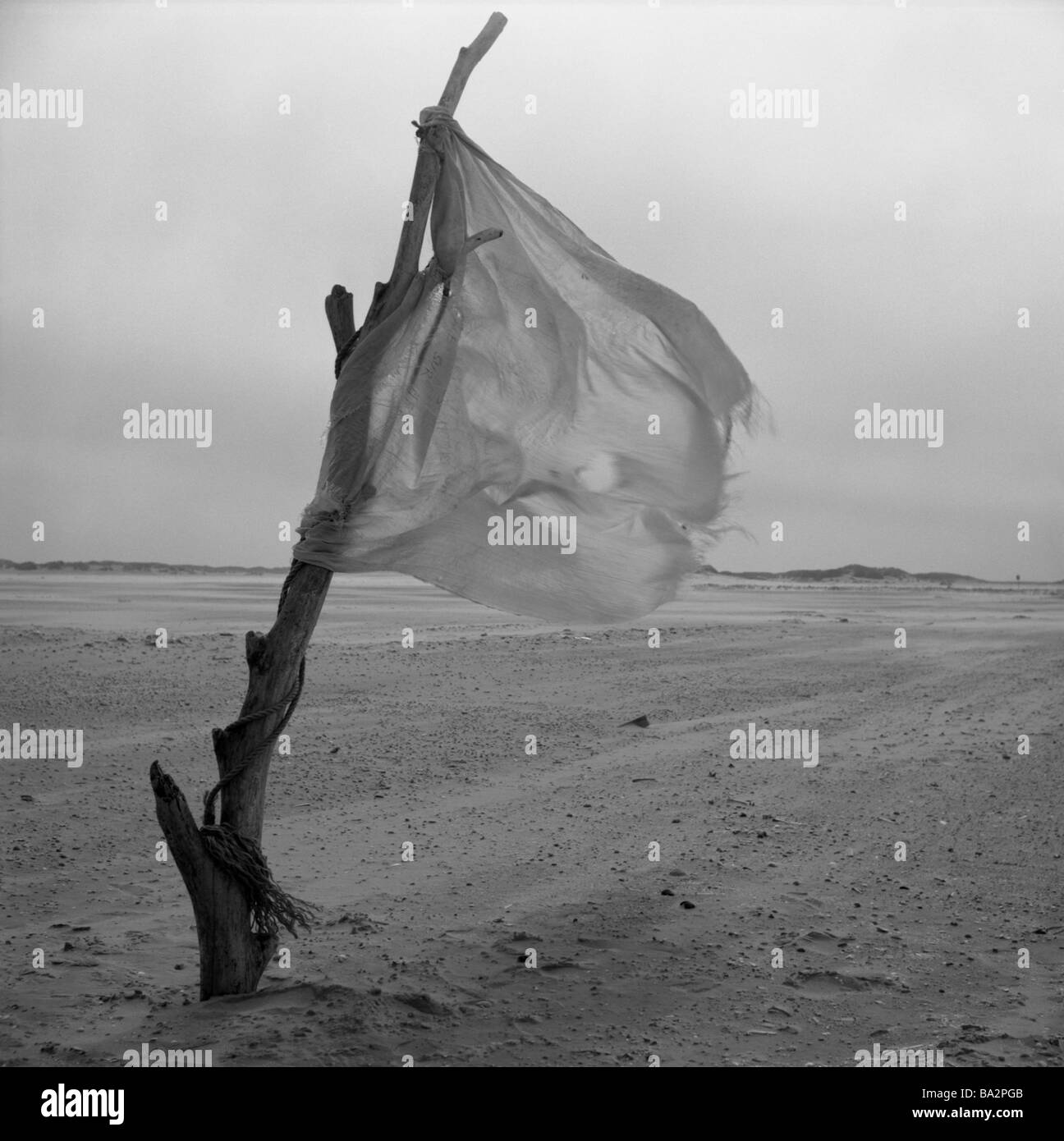 Beach log cloth wind s/w blows nature sandy beach sea ebb wideness ...