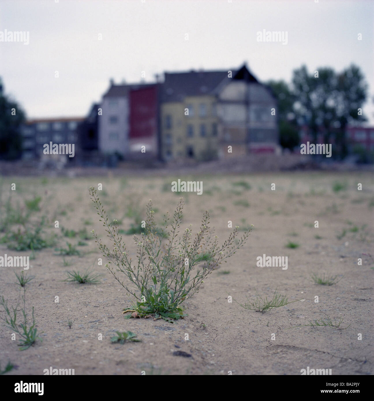 Dilapidated residential area hi-res stock photography and images - Alamy