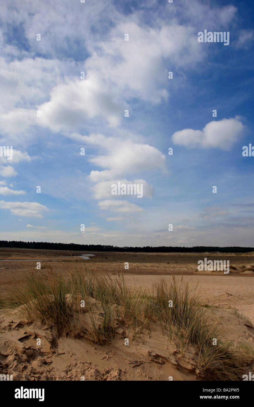 Sand Dunes Holkham Bay Beach National Nature Reserve Peddars way North ...