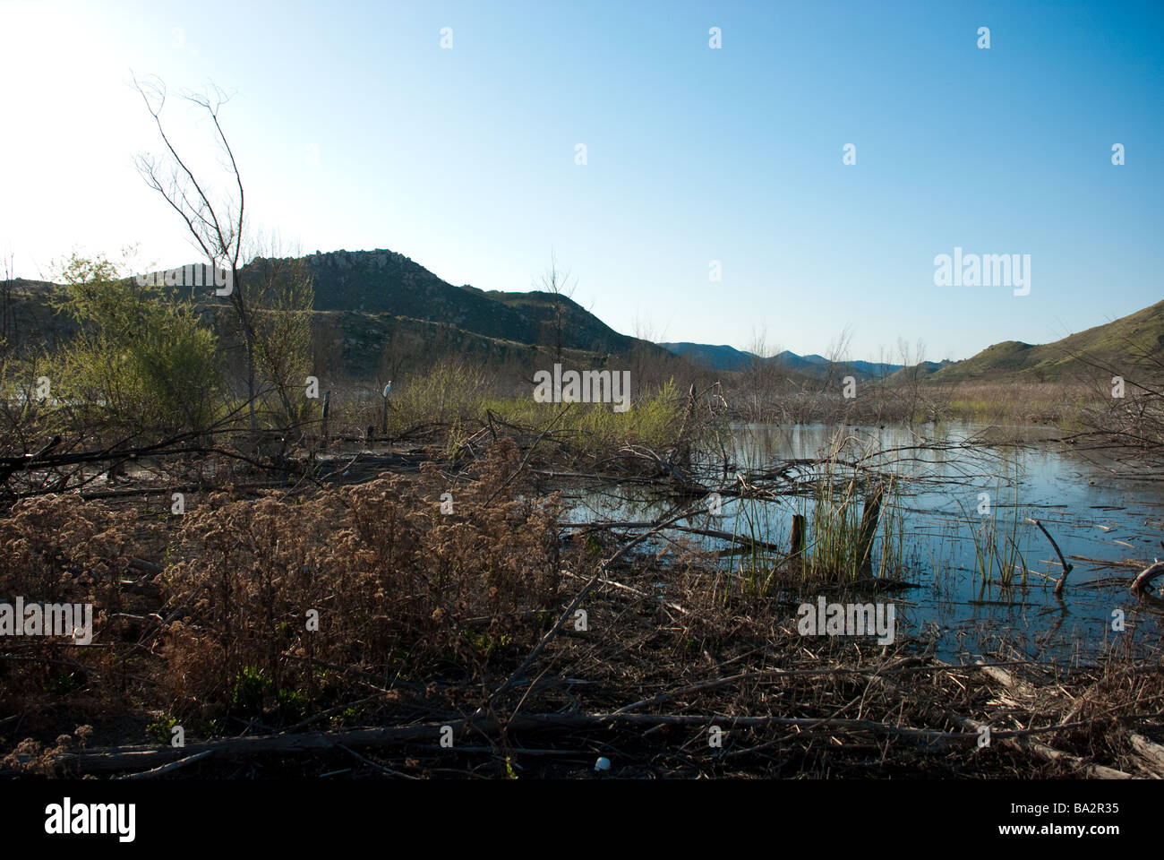 Landscape of a lake and the surrounding environment Stock Photo - Alamy