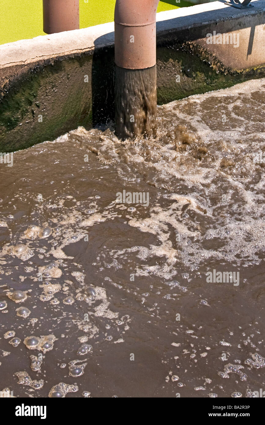 Tank nitrification and denitrification water purification facility ...