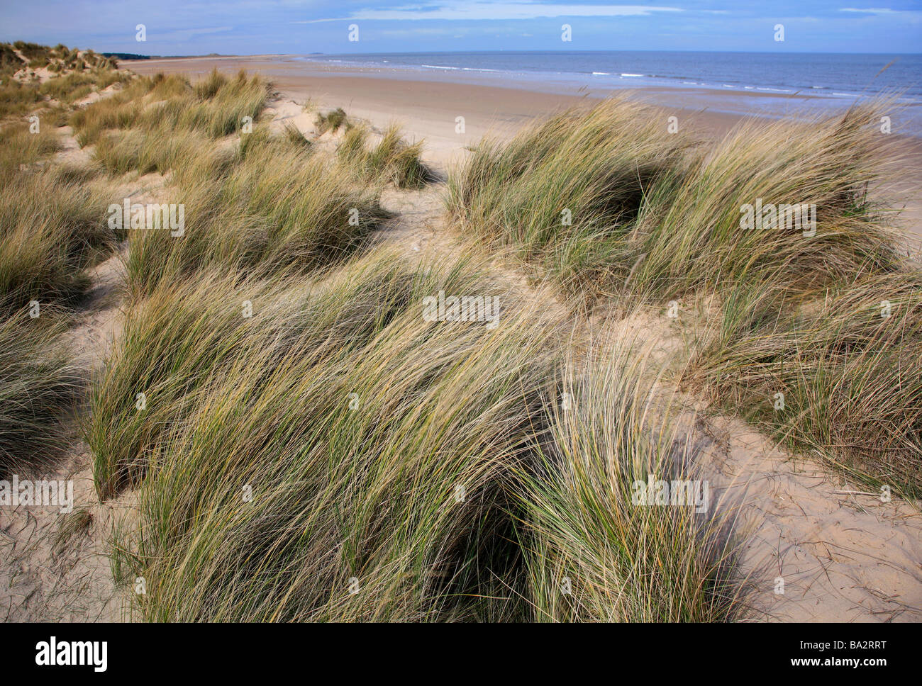 Sand Dunes Holkham Bay Beach National Nature Reserve Peddars way North ...