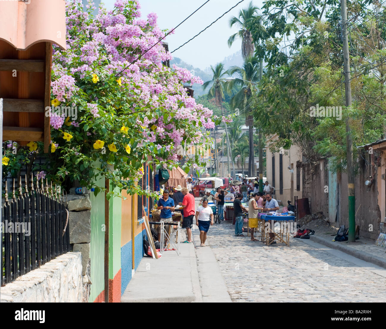 Copan hi-res stock photography and images - Alamy