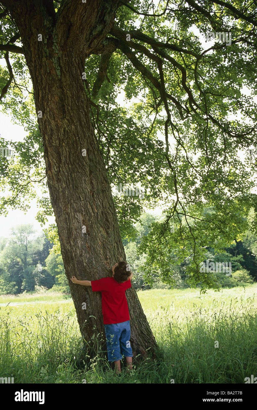 Boy leaning against tree hi-res stock photography and images - Alamy