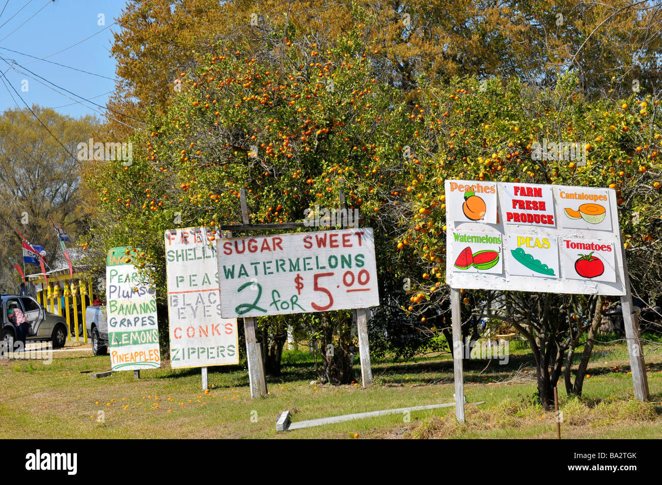 Road signs advertising fruits and vegetables Florida Stock Photo - Alamy