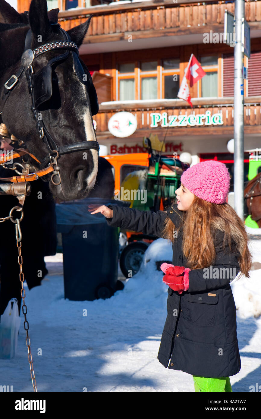 Horse in zermatt hi-res stock photography and images - Alamy