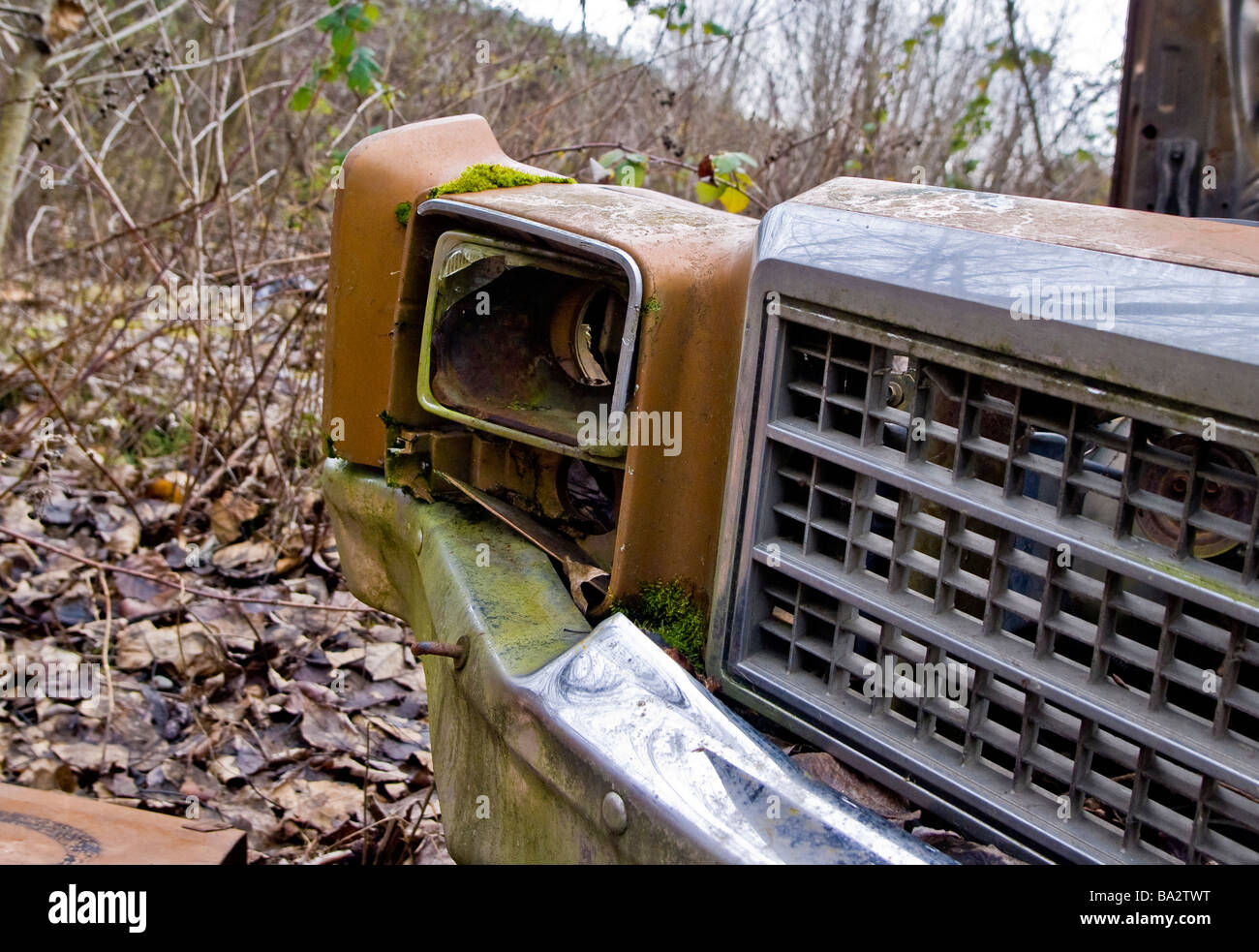 wrecked car dumped in the forest Stock Photo - Alamy
