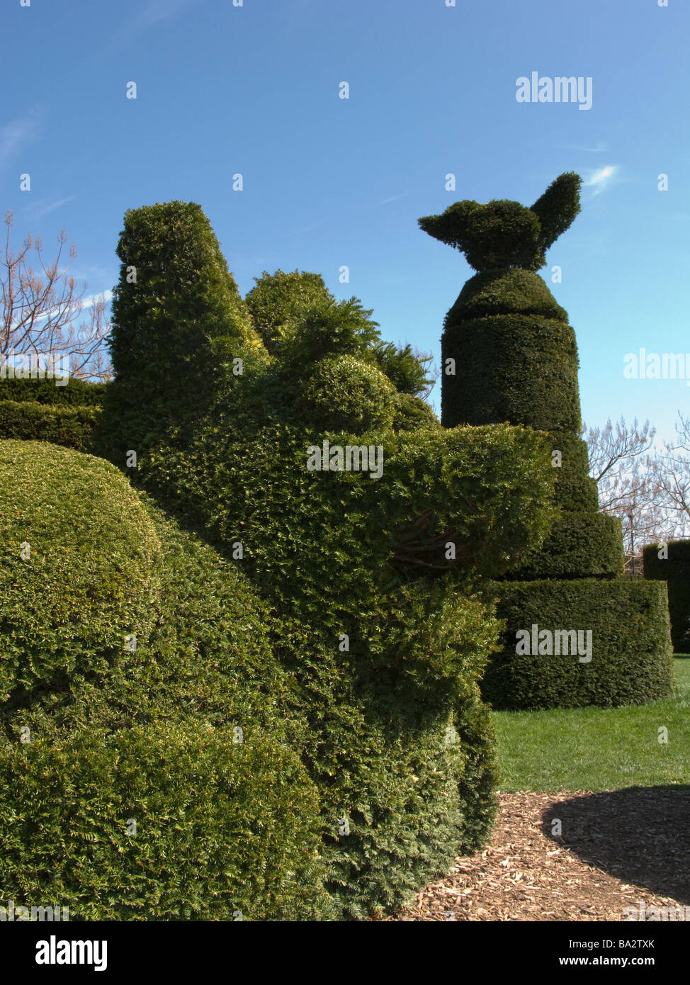 Dog topiary hi-res stock photography and images - Alamy