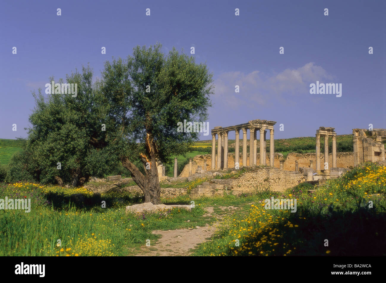 Antique archeology hi-res stock photography and images - Alamy