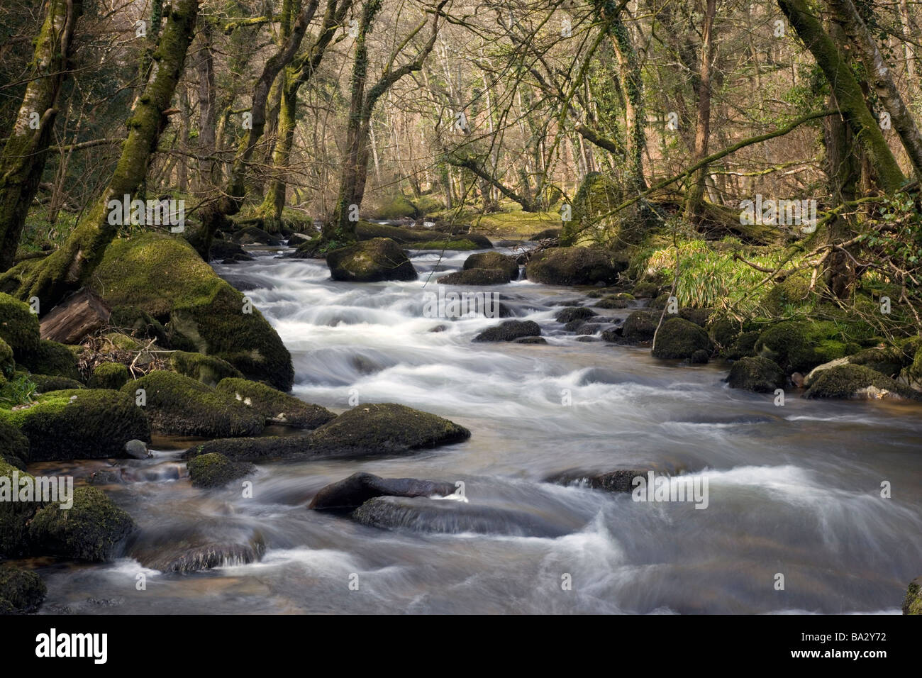 The River Teign near Fingle Bridge within Dartmoor National Park, Devon ...