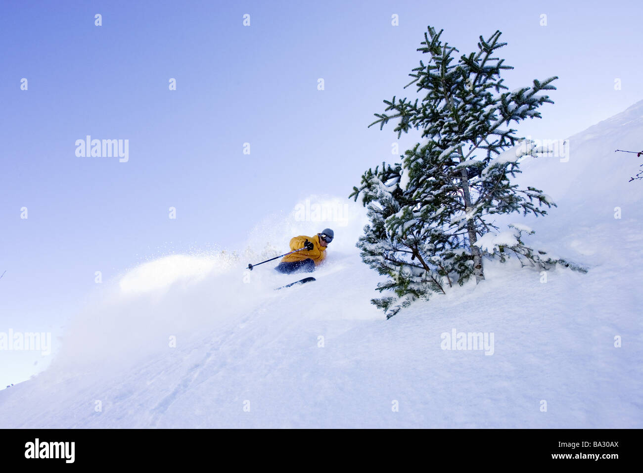 Tree with personality hi-res stock photography and images - Alamy