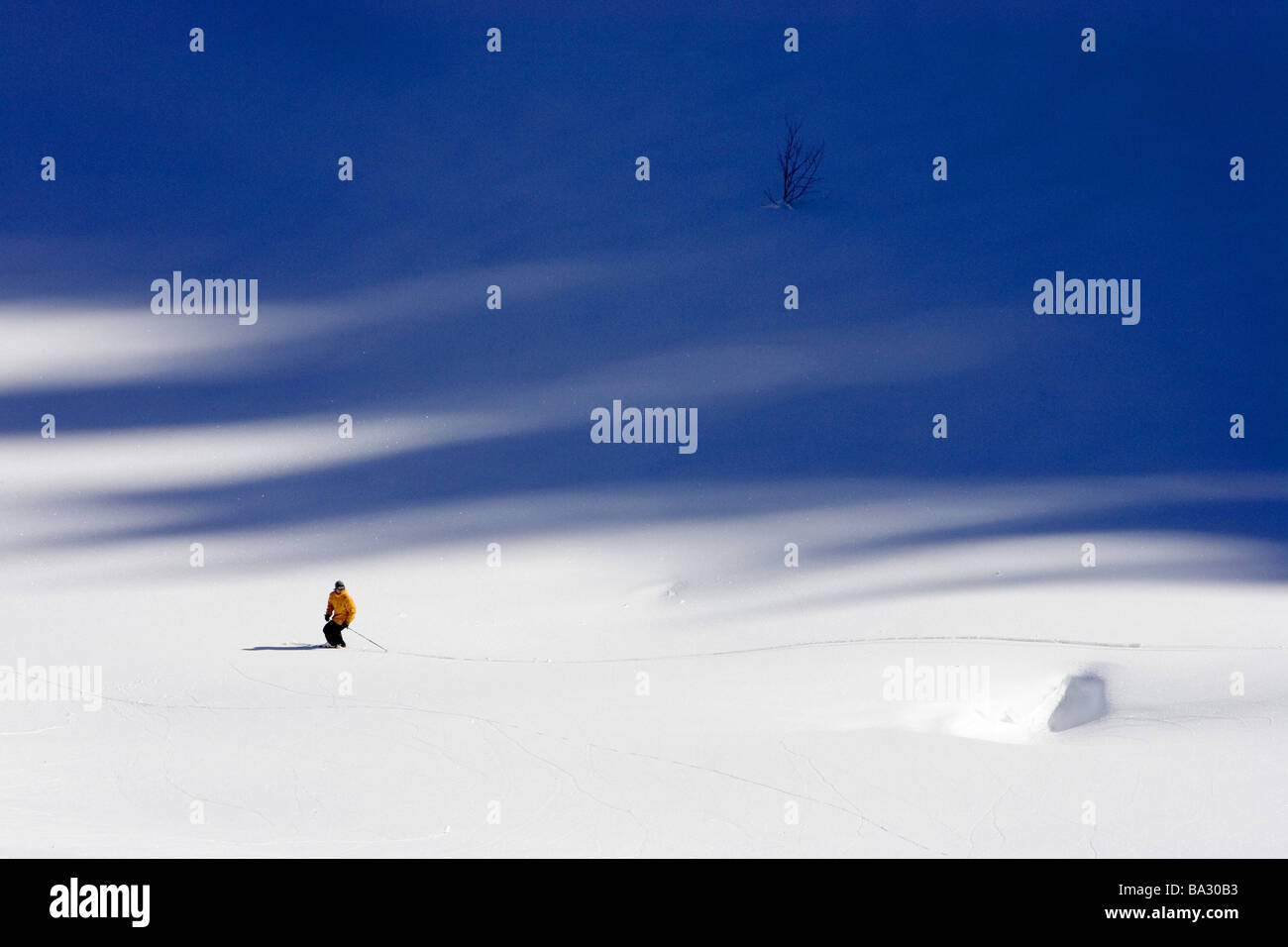 Pro skiers hi-res stock photography and images - Alamy