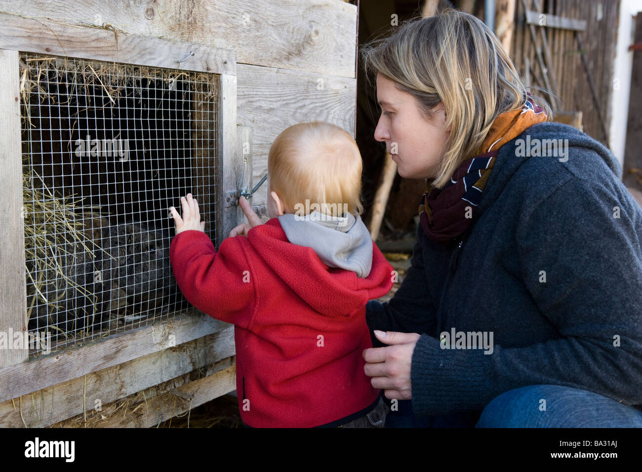 Child observing animal farm hi-res stock photography and images - Alamy