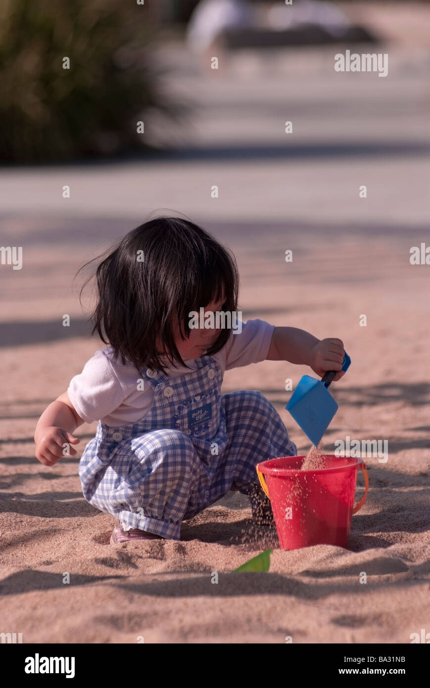 18 month old Asian American girl scooping sand into a bucket in the ...