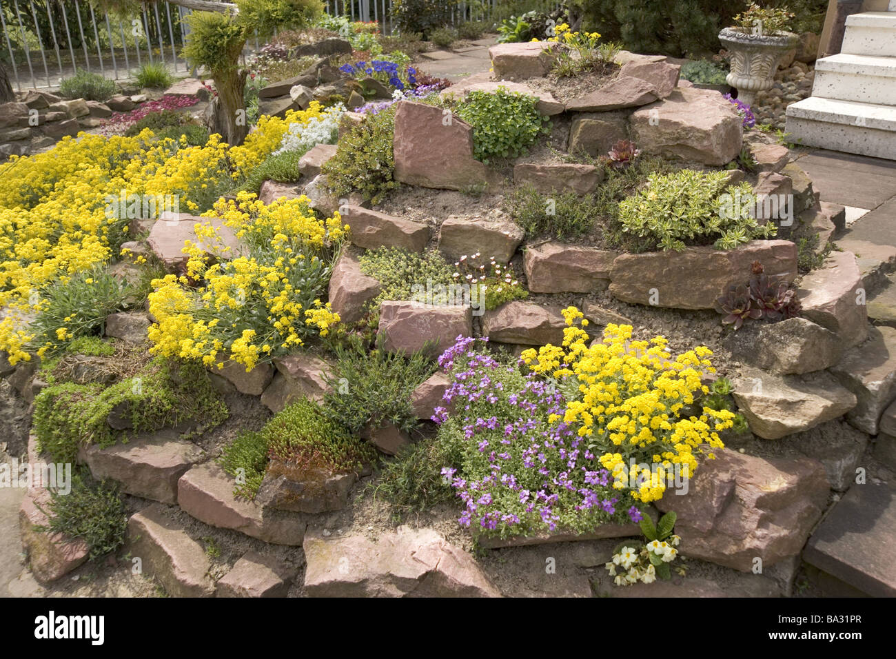 Rockery detail vegetation botany garden garden-formation stones ...