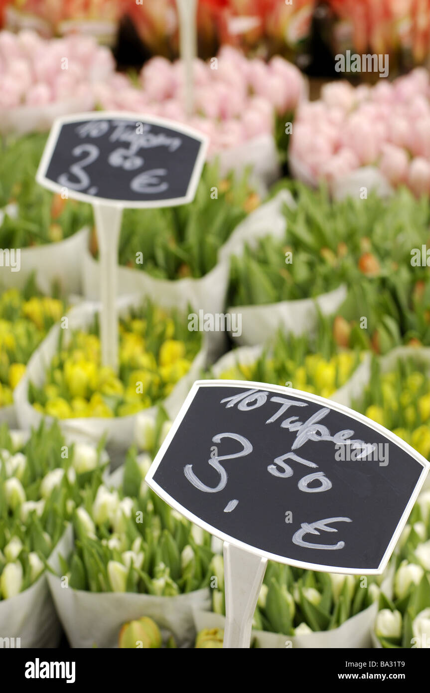 Flower-market cut-flowers price-signs detail market market-stand flower ...