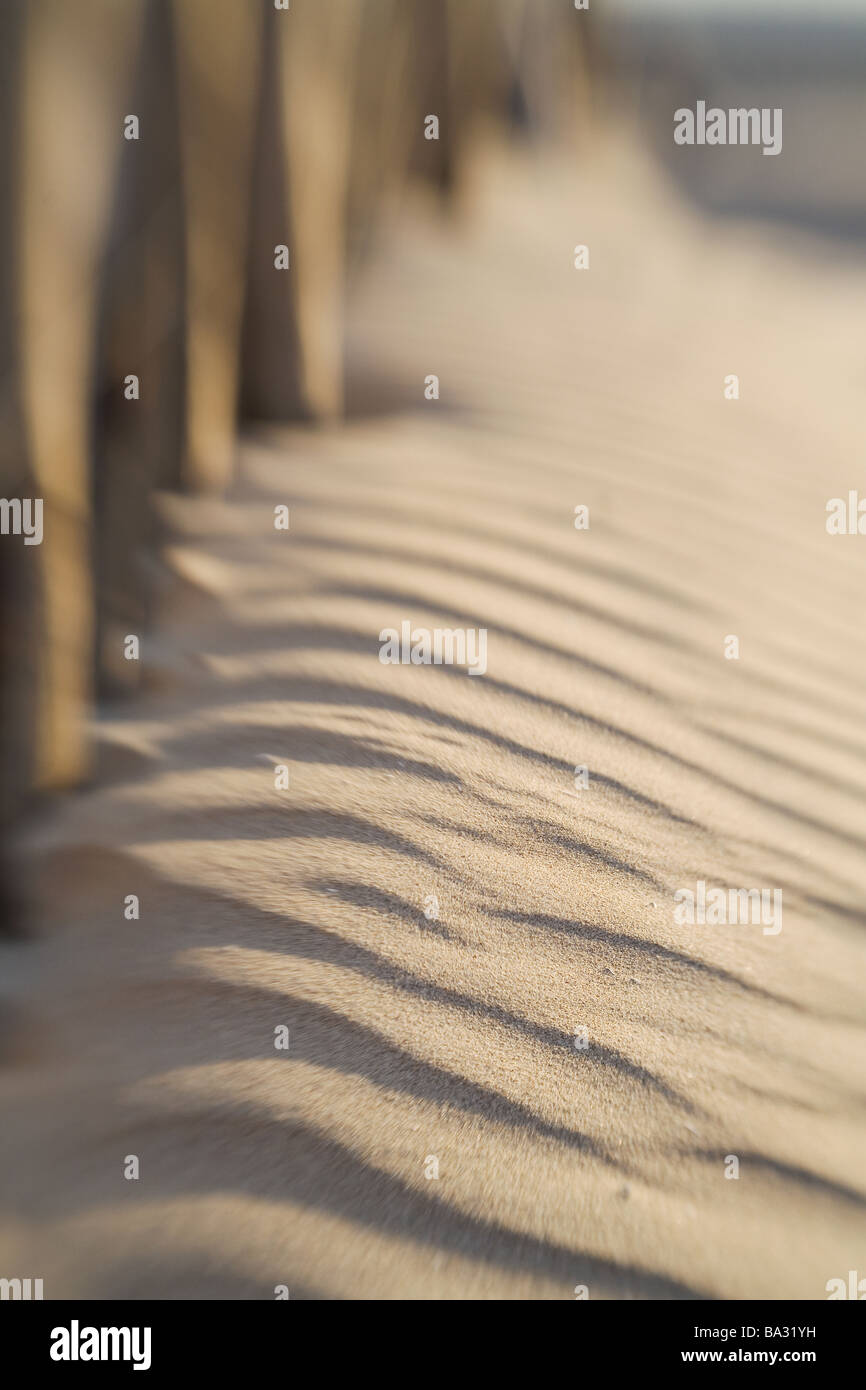 lines in the sand Stock Photo - Alamy
