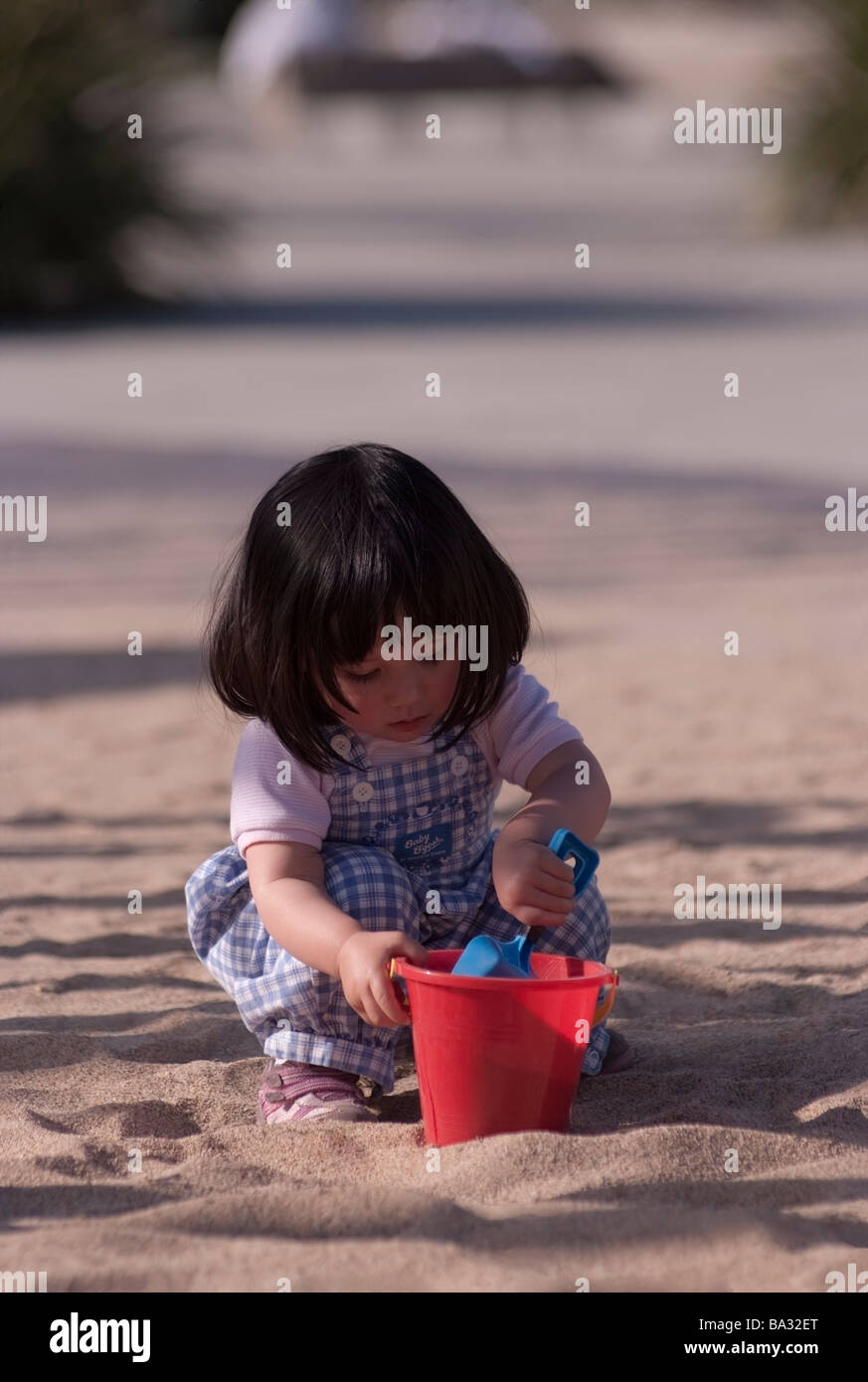 18 month old Asian American girl scooping sand into a bucket in the ...