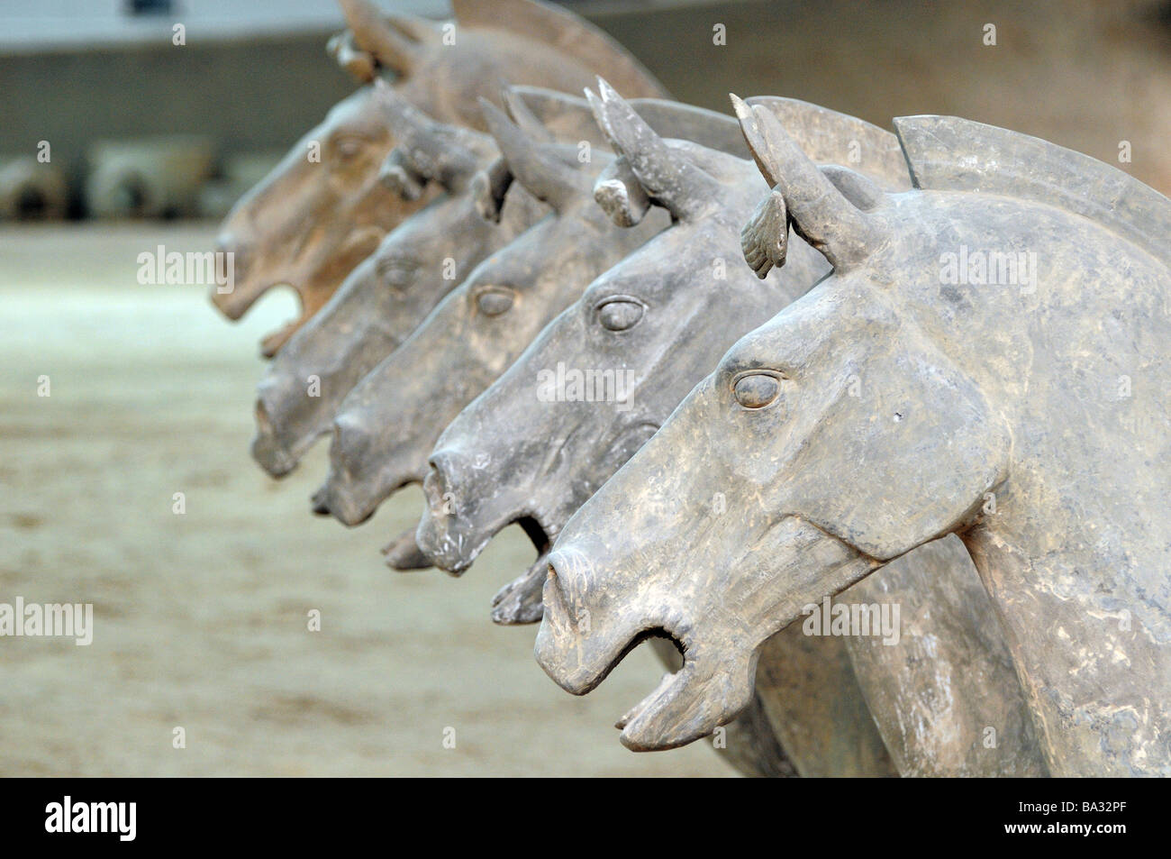 Horses of The Terracotta Army, Xi'an, China Stock Photo - Alamy