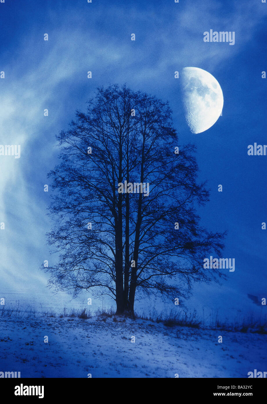 Winter-landscape alder bald half-moon monochrome landscape season ...