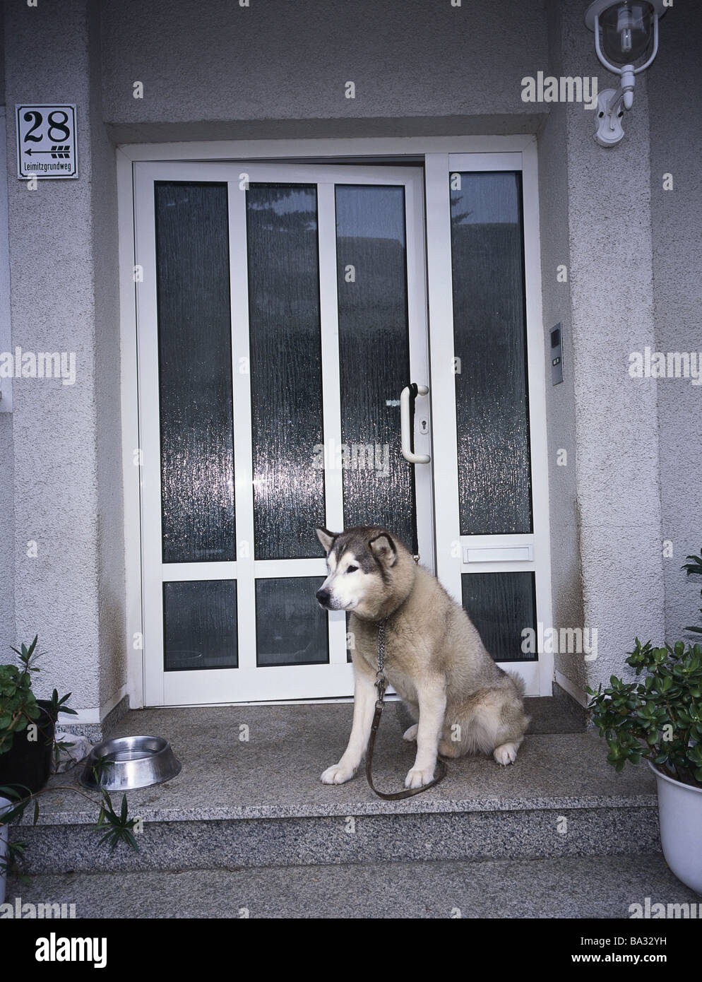 Residence door entrance husky angeleint water-bowl house front door ...