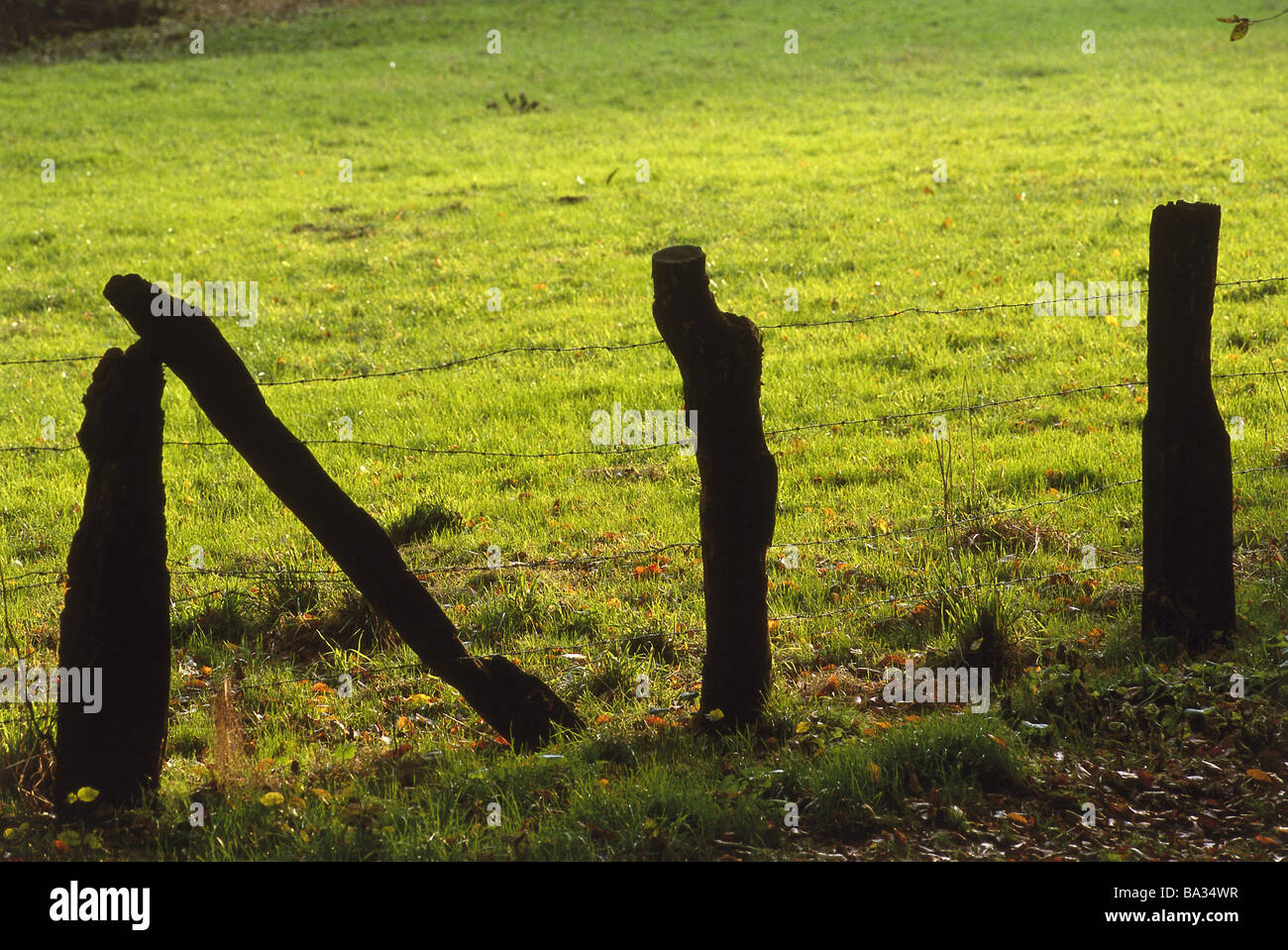Meadow pasture-fence detail summers field pasture fence fenced in ...