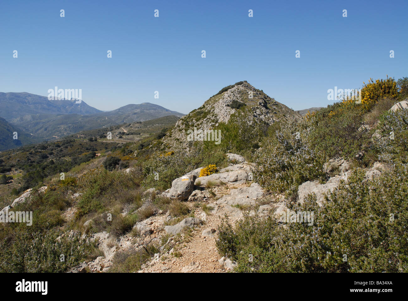 Benimaurell rosemary spain hi-res stock photography and images - Alamy
